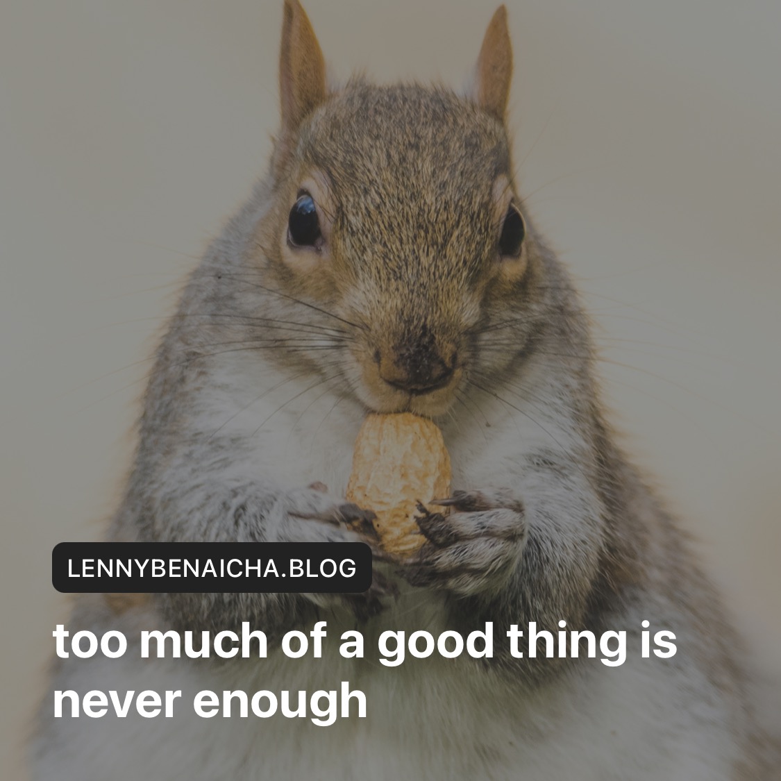too much of a good thing is never enough | a lenny benaïcha one minute read